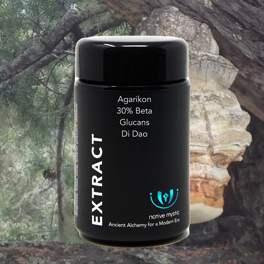 Agarikon 30% Beta Glucans Fruiting Body – The Native Mystic