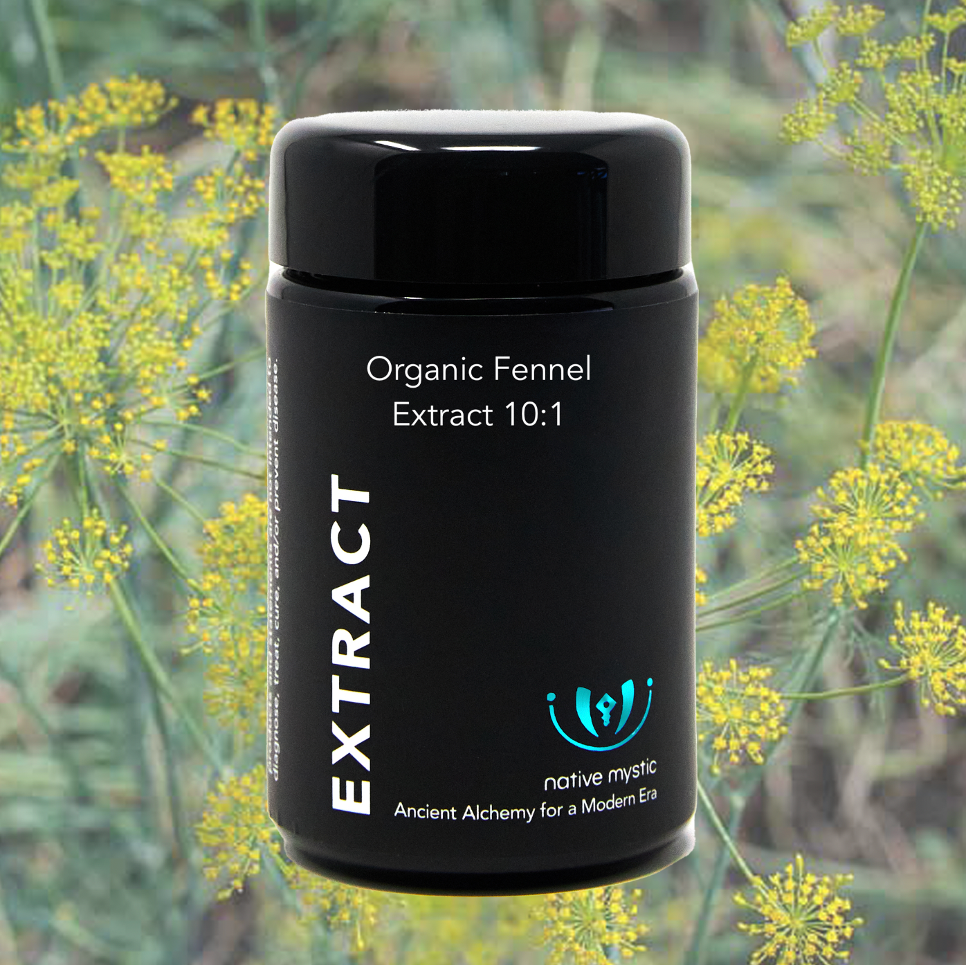Organic Fennel Extract 10:1 – The Native Mystic