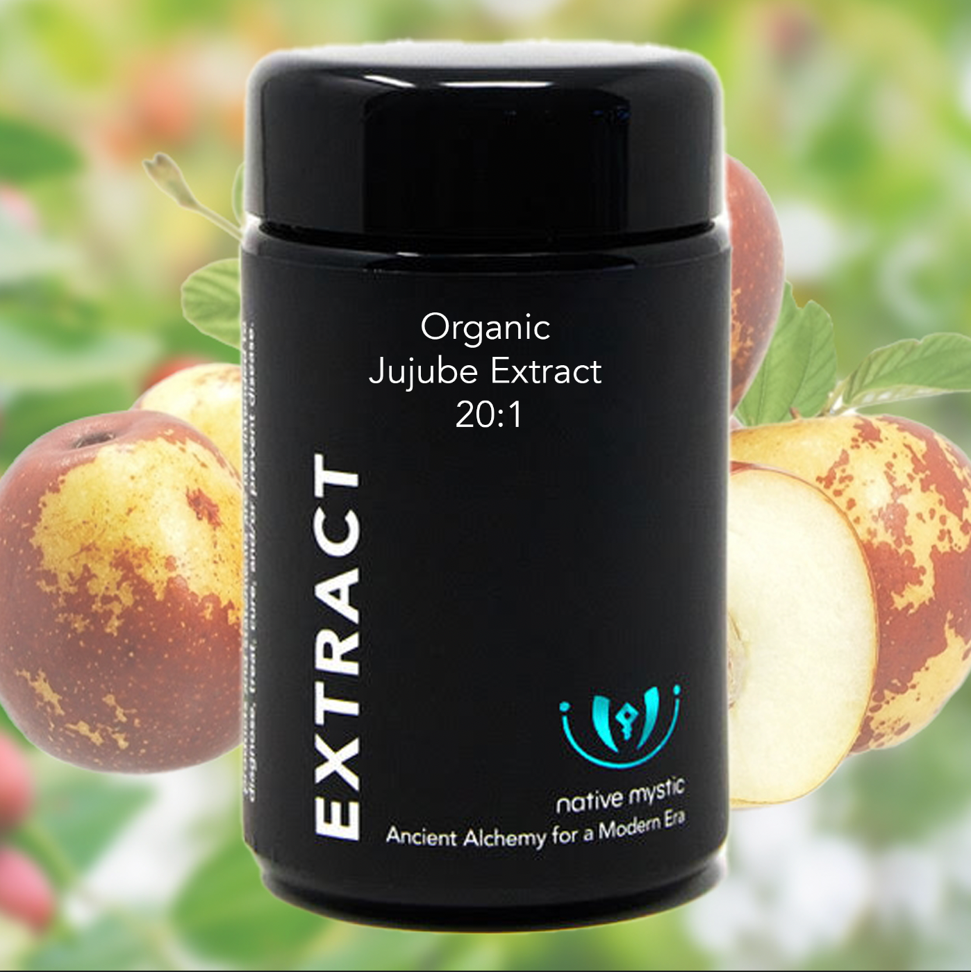 Organic Jujube Extract 20:1 – The Native Mystic