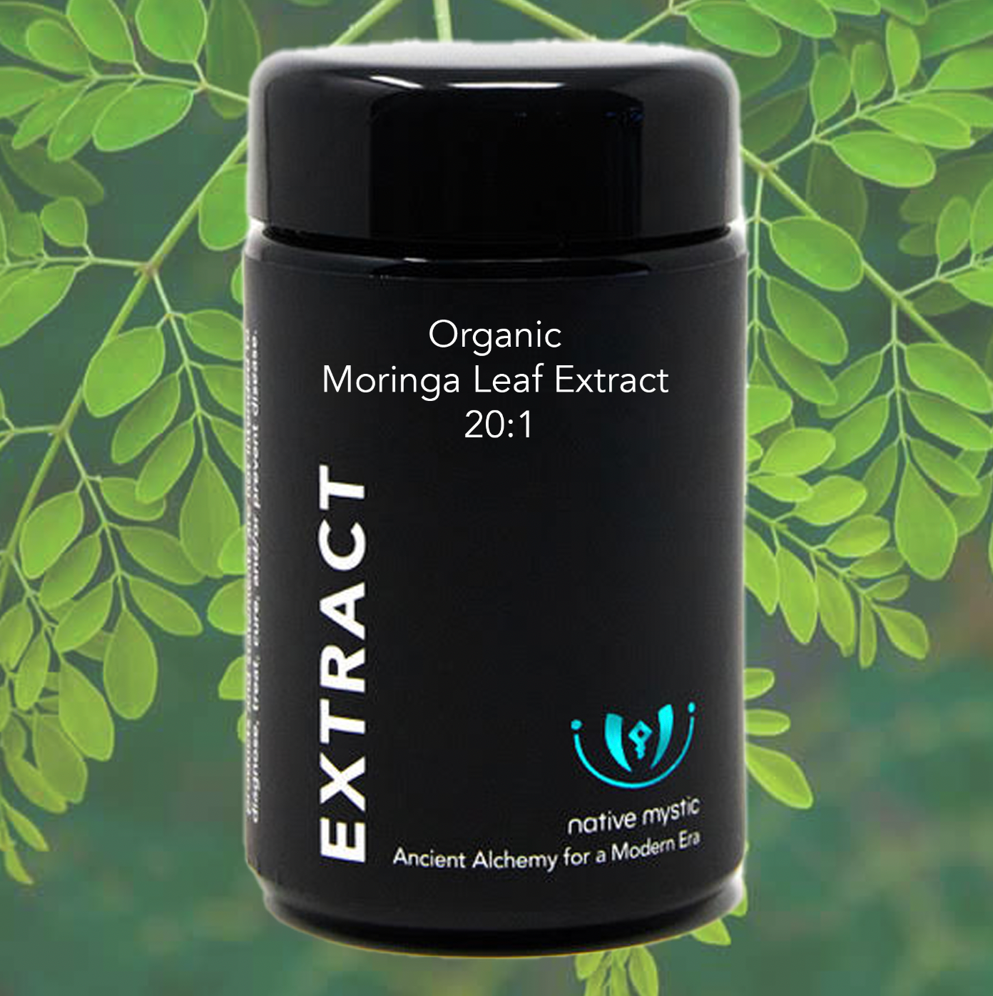 Organic Moringa Leaf Extract 20:1 – The Native Mystic