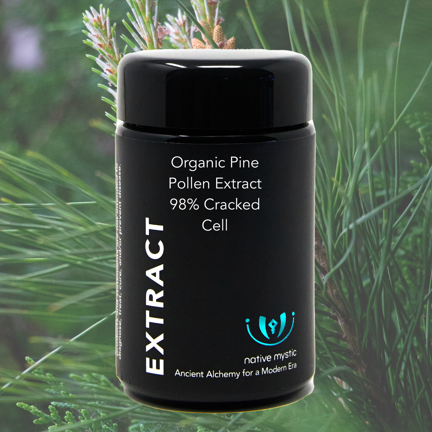 Pine Pollen Extract 10:1, 95% Cracked Cell – The Native Mystic